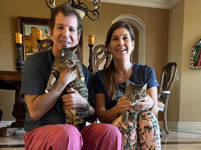 Azalea – Dream Animal Rescue